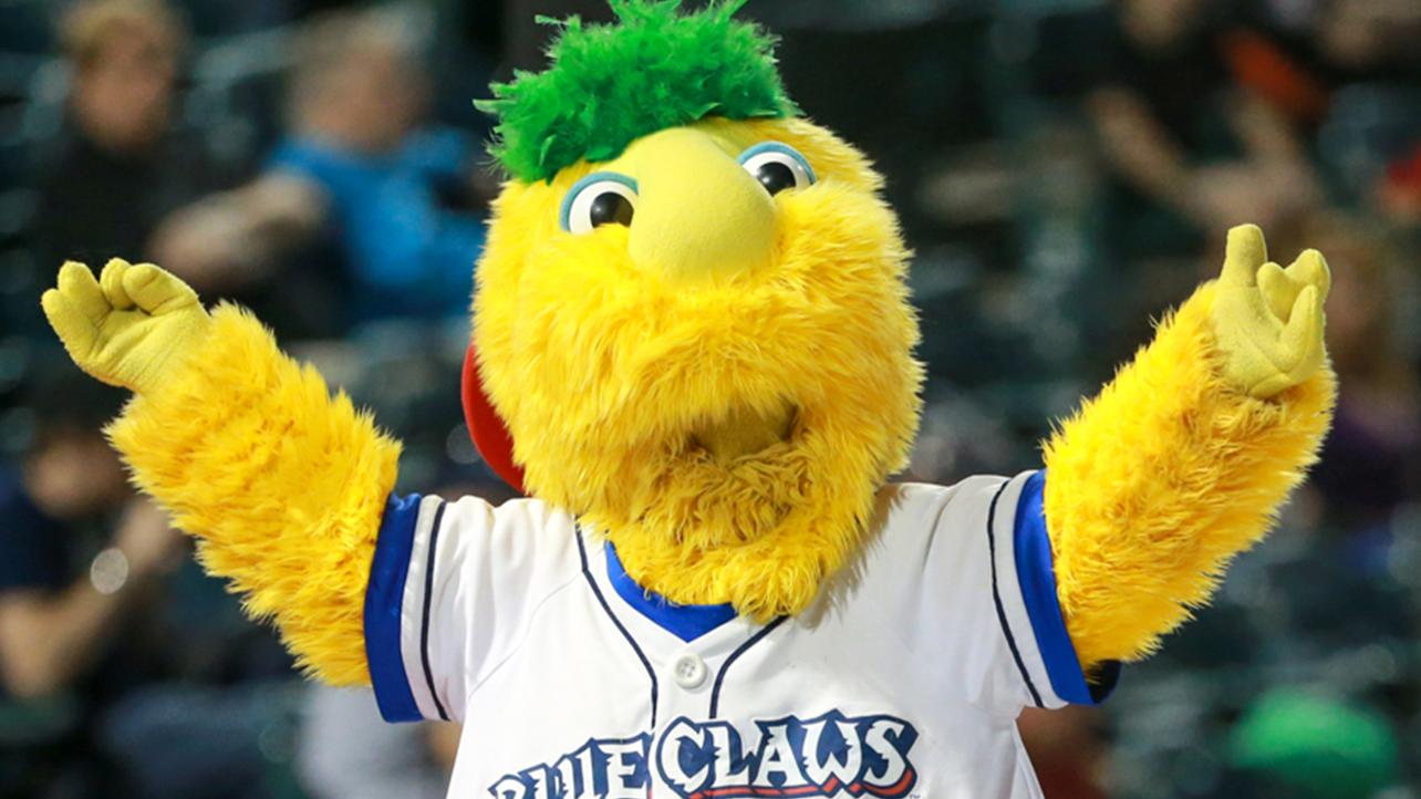 Meet Buster | BlueClaws