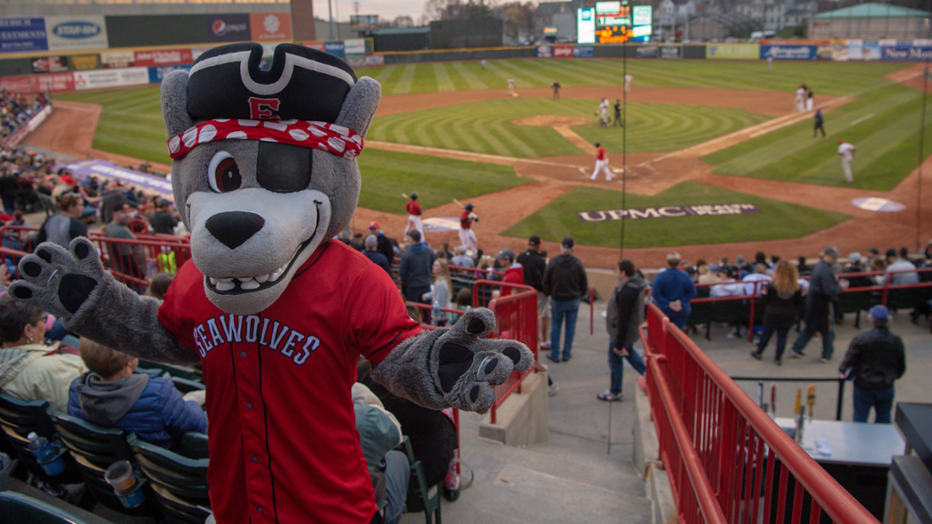SeaWolves Ticket Options | SeaWolves