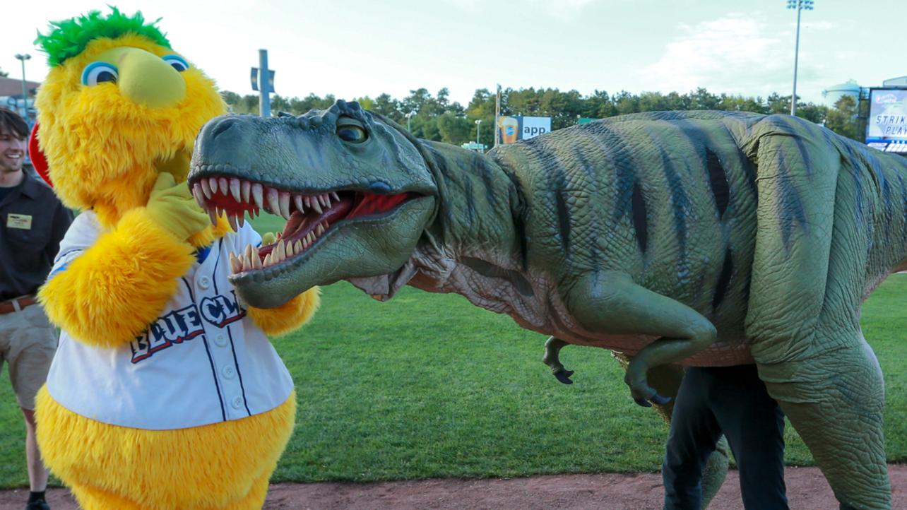 Meet Buster | BlueClaws