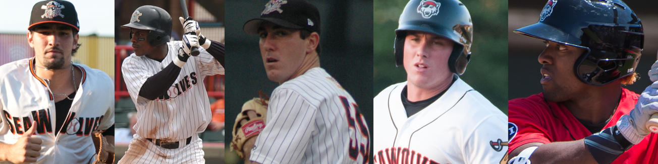 SeaWolves All-Time Roster | SeaWolves