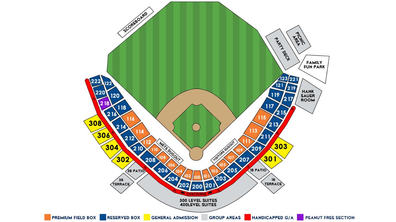 Plan a Party Deck Group Outing at NBT Bank Stadium! | Mets