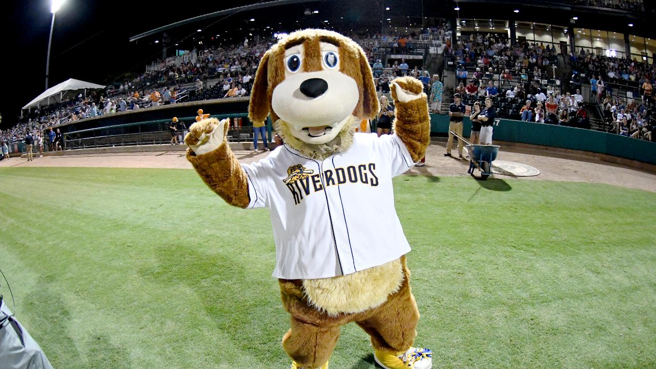 RiverDogs in the Community | RiverDogs