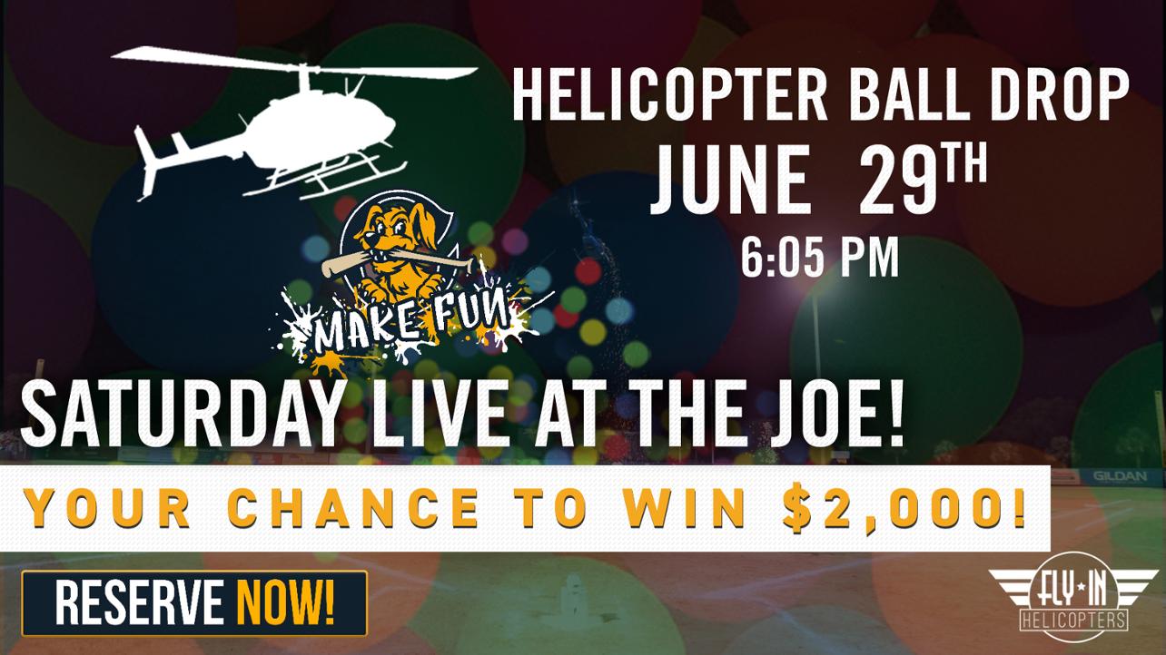 Charleston RiverDogs | MiLB.com