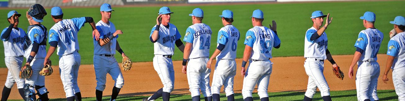 Wilmington Blue Rocks Team Main Page | Blue Rocks
