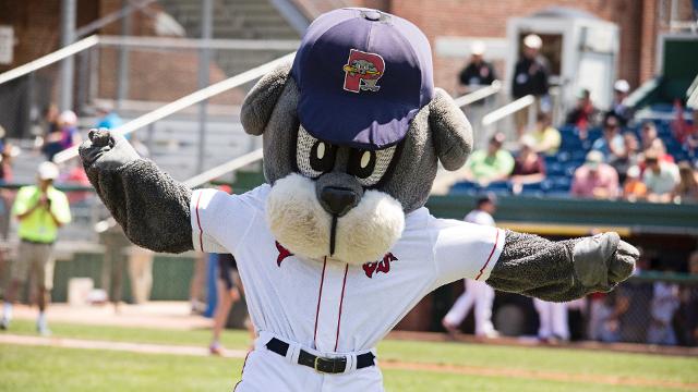 Slugger nominated for Mascot Hall of Fame | Sea Dogs