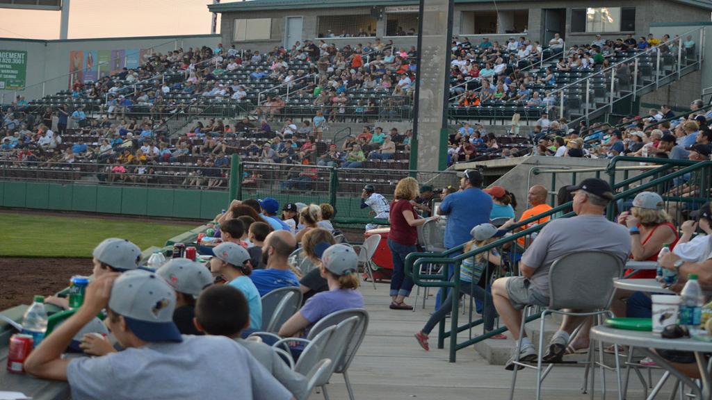 Group Options | Dust Devils