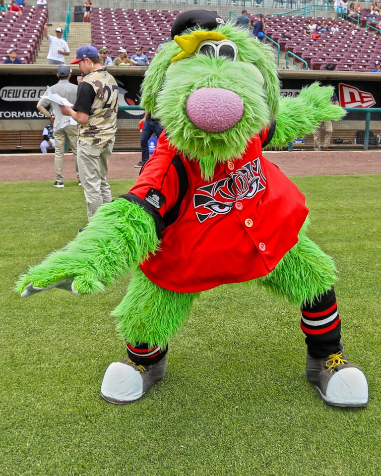 Mascots | Storm