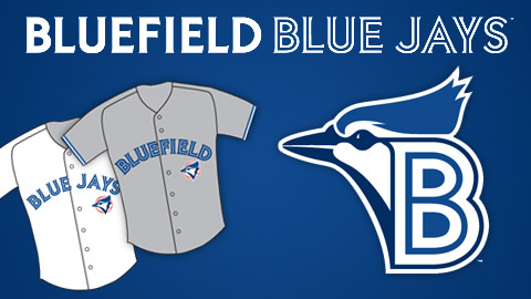 MiLB teams with MLB-caliber identities - Page 4 - Sports Logo News ...
